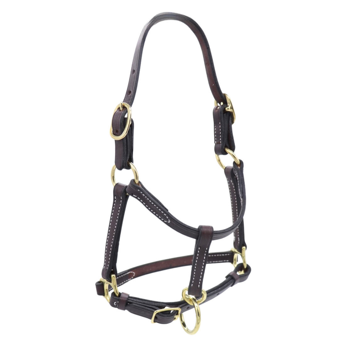 Leather Horse Halters With Name Plates At Lisa Cunningham Blog