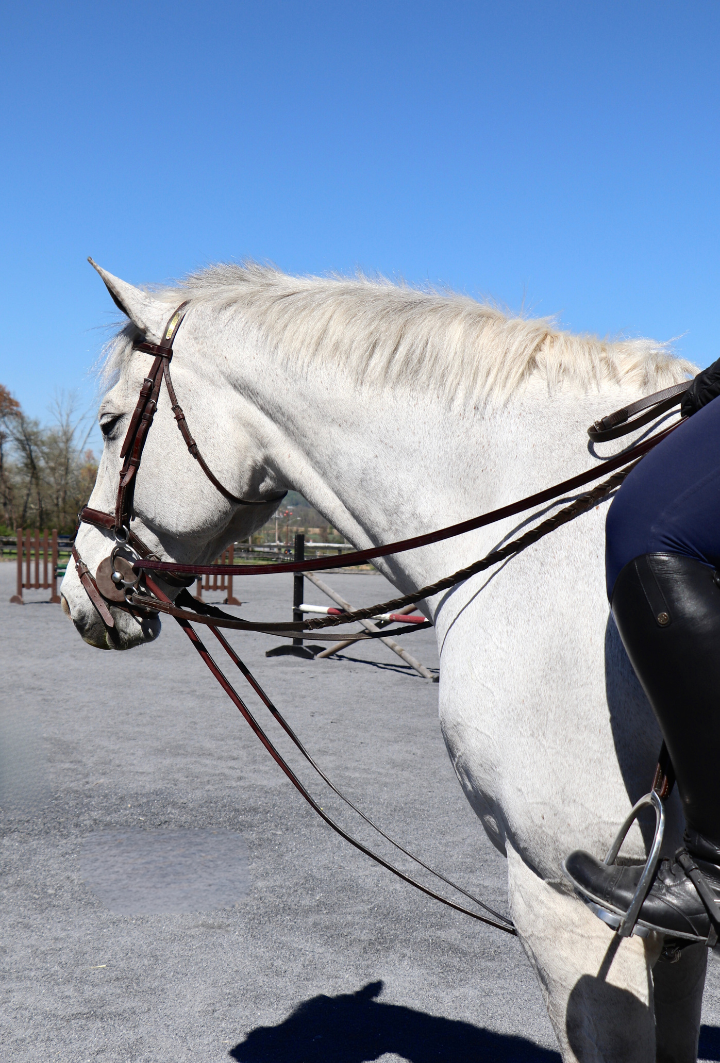 Leather Reins Soft Grip Leather Draw Reins For Horse Training - Pony ...
